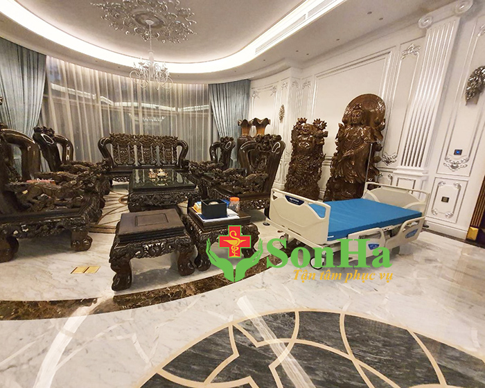 Giường Giưỡng Lão Paramount Bed A5